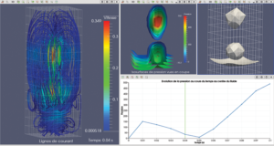 SALOME: An Open-source Simulation Platform Integrating ParaView
