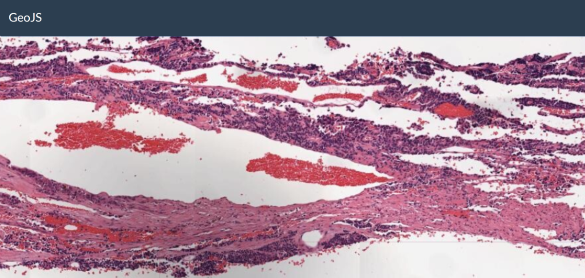 Geospatial Visualizations in GeoJS