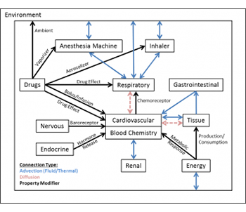 Kitware, Inc. | Open-source Platforms, Advanced Research Solutions