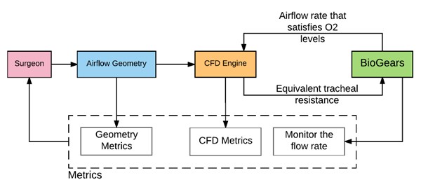Toward Patient-Specific Surgical Planning Including Individualized ...