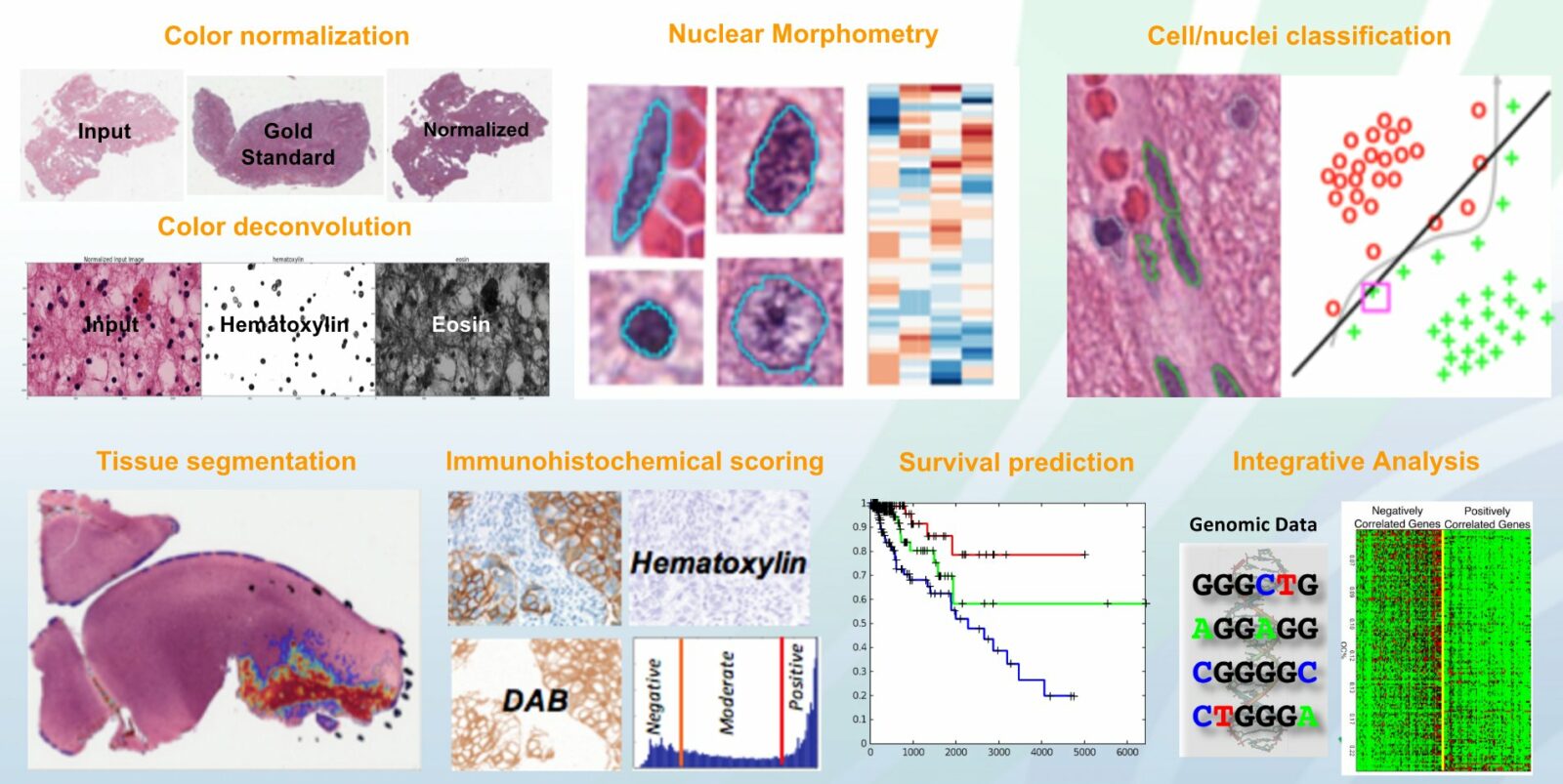 Digital Slide Archive, Large Image, and HistomicsTK: Open-source ...