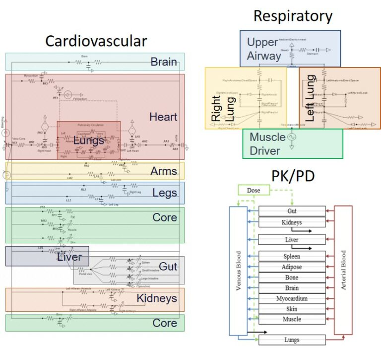Introducing the Pulse Physiology Engine: Open-Source Computational ...