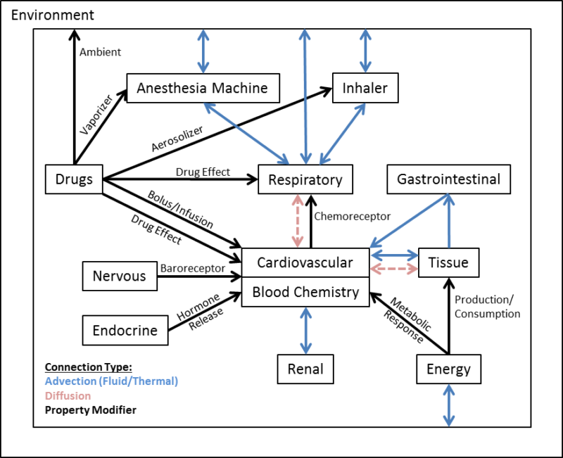 Introducing the Pulse Physiology Engine: Open-Source Computational Models for Human Medical ...
