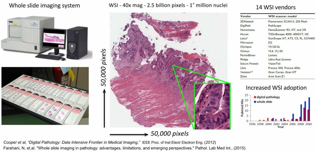 Digital Slide Archive, Large Image, and HistomicsTK: Open-source ...