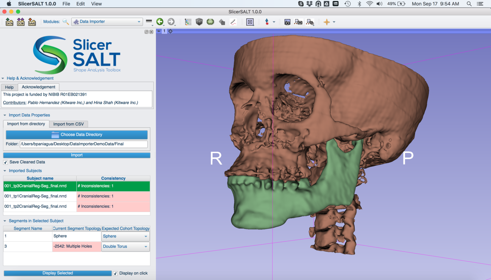 How to Use the SlicerSALT 1.0 Data Importer