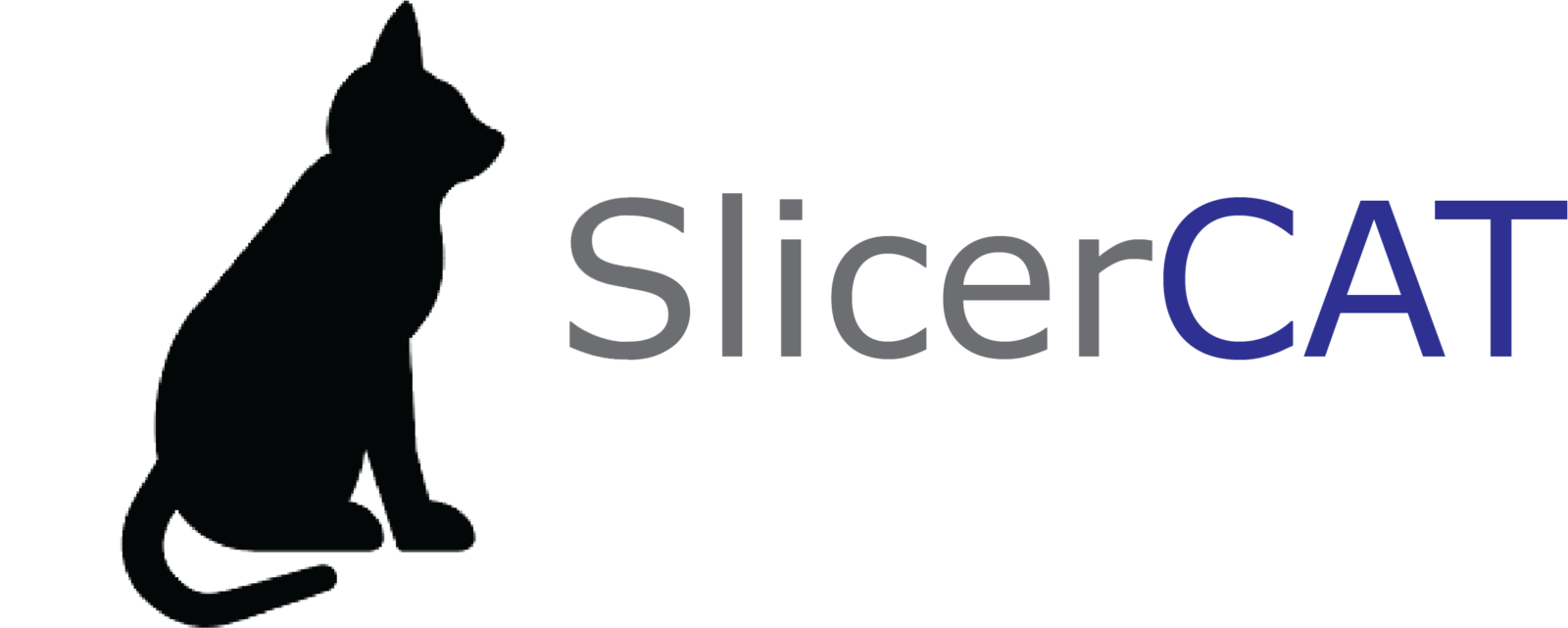 Slicercat Creating Custom Applications Based On 3d Slicer