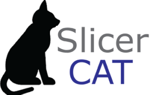 SlicerCAT: Creating custom applications based on 3D Slicer