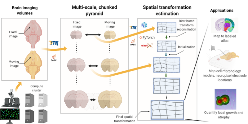 Kitware Chosen to Help Advance Brain Research Through a $1.3M NIH Grant