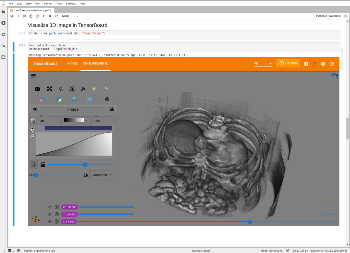 Delivering Innovation in Medical Image Visualization