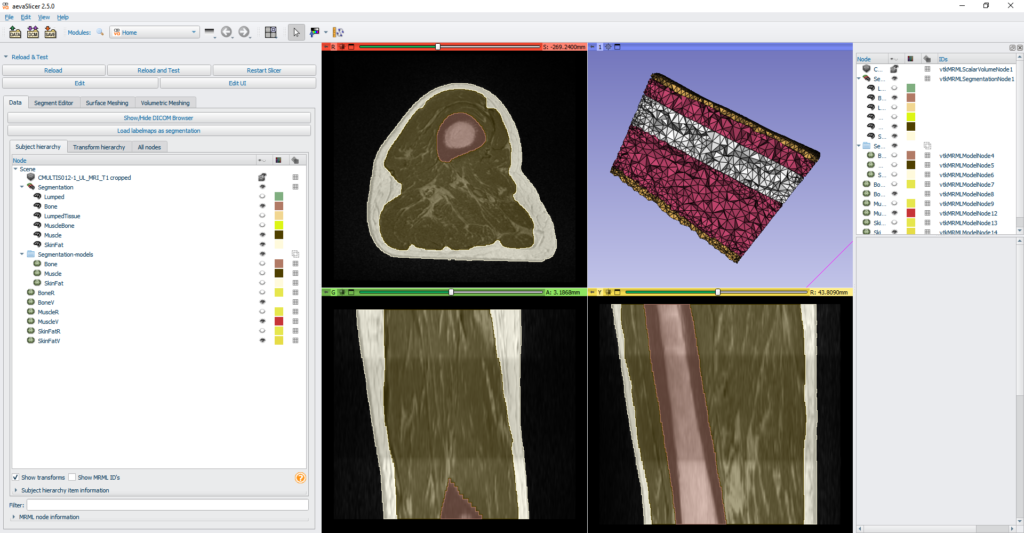 Kitware Inc. - Delivering Innovation - Customized Software Solutions ...