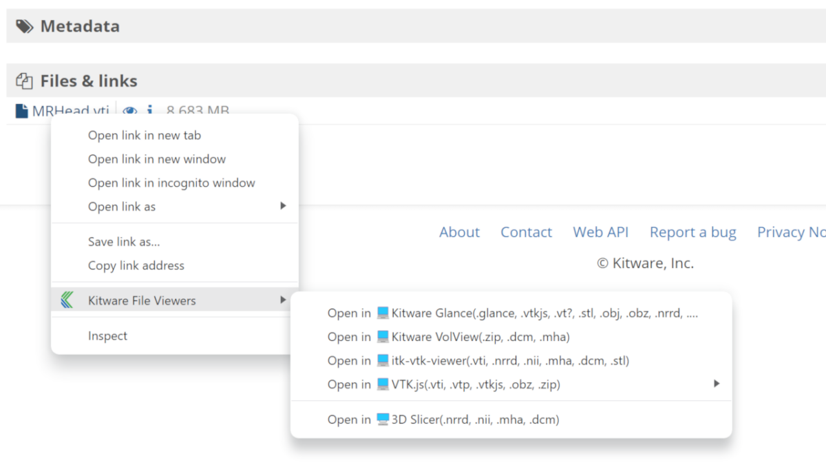 ⚡Web browser add-on to visualize file URLs