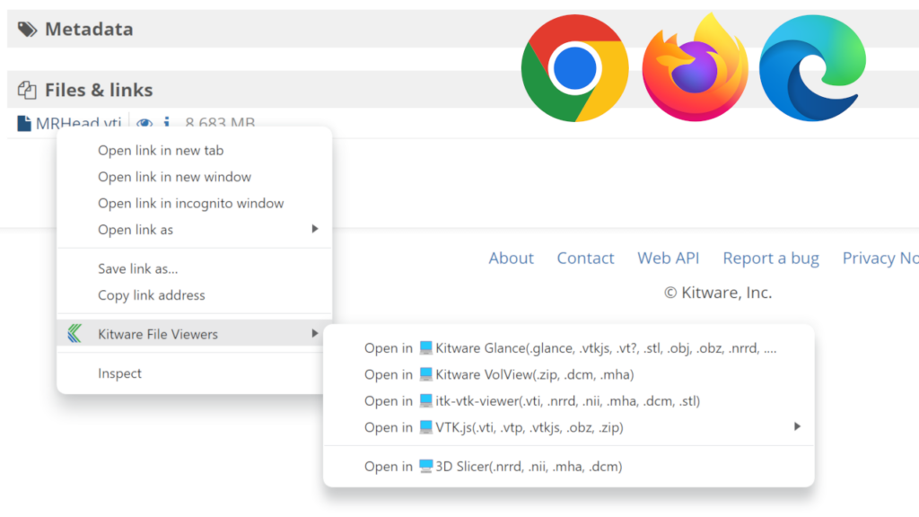 ⚡Web browser add-on to visualize file URLs