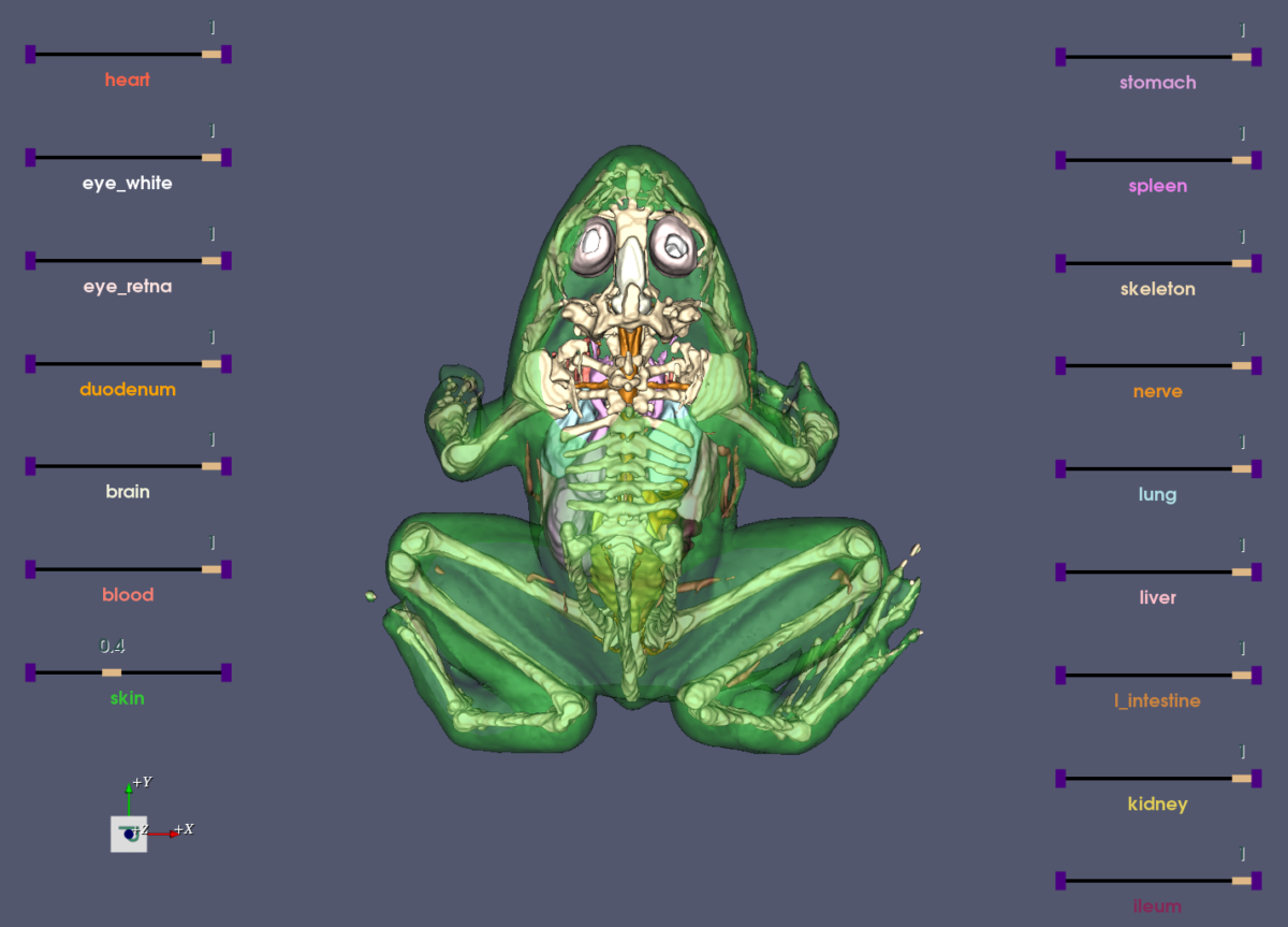 Froggie and the Joy of Open Source Community