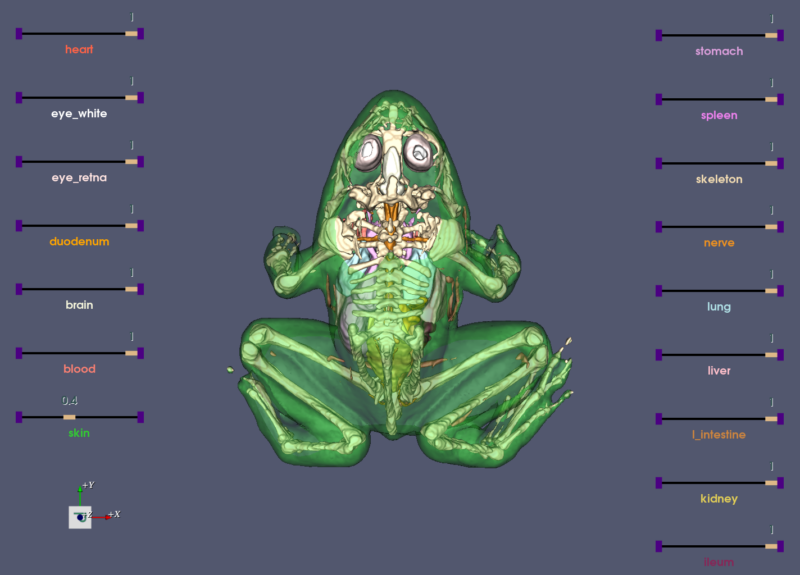 Froggie and the Joy of Open Source Community