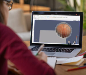 Kitware Inc. - Delivering Innovation - Customized Software Solutions for Complex Scientific ...