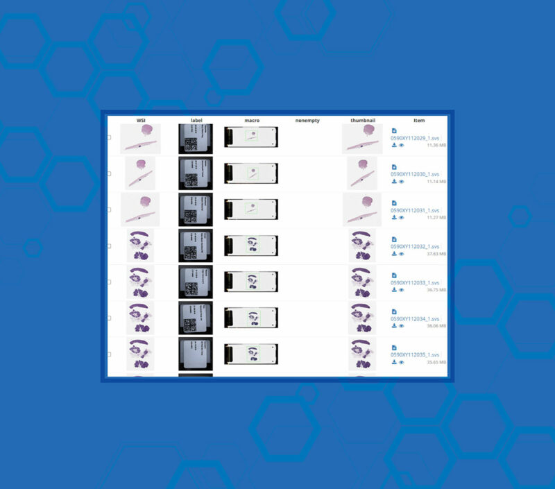 Kitware Inc. - Delivering Innovation - Customized Software Solutions for Complex Scientific ...