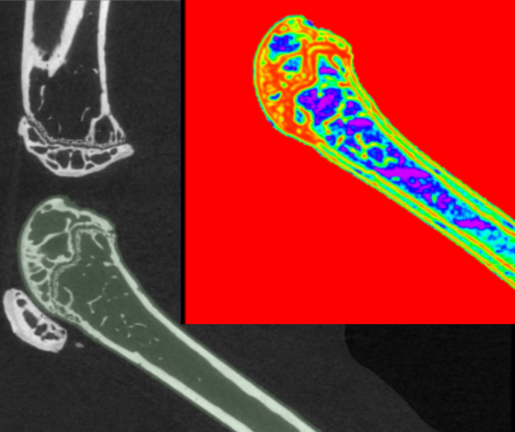 Introducing the updated Bone Texture Extension for simplified image ...
